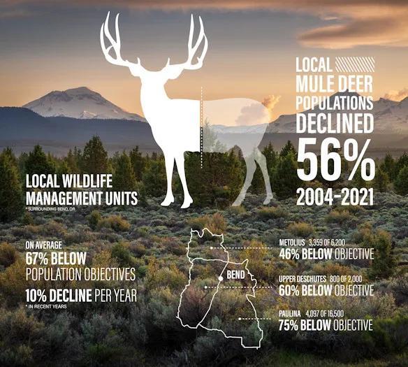 Deschutes National Forest’s four wildlife winter range closures go into ...
