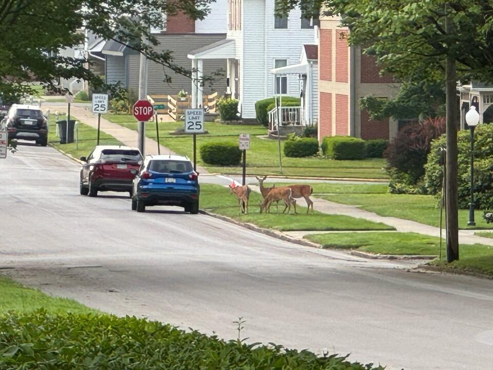 Regen Rx Clarion County Photo of the Day