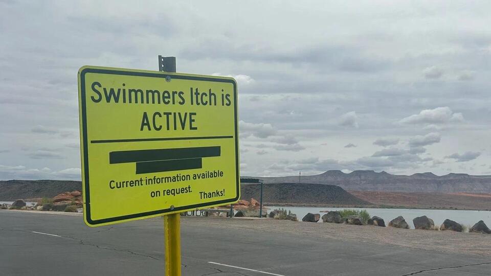 Public warned about increased risk of swimmer's itch at Sand Hollow ...