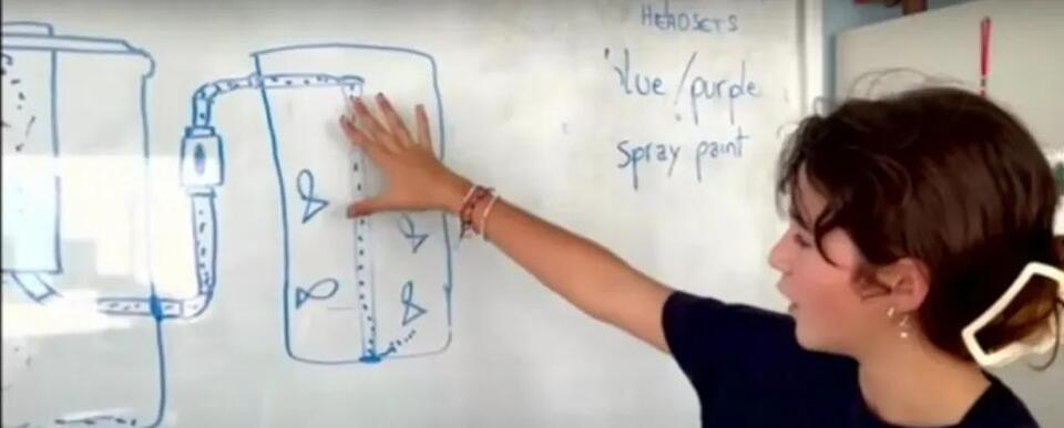 San Diego French-American school triumphs with prestigious global award ...