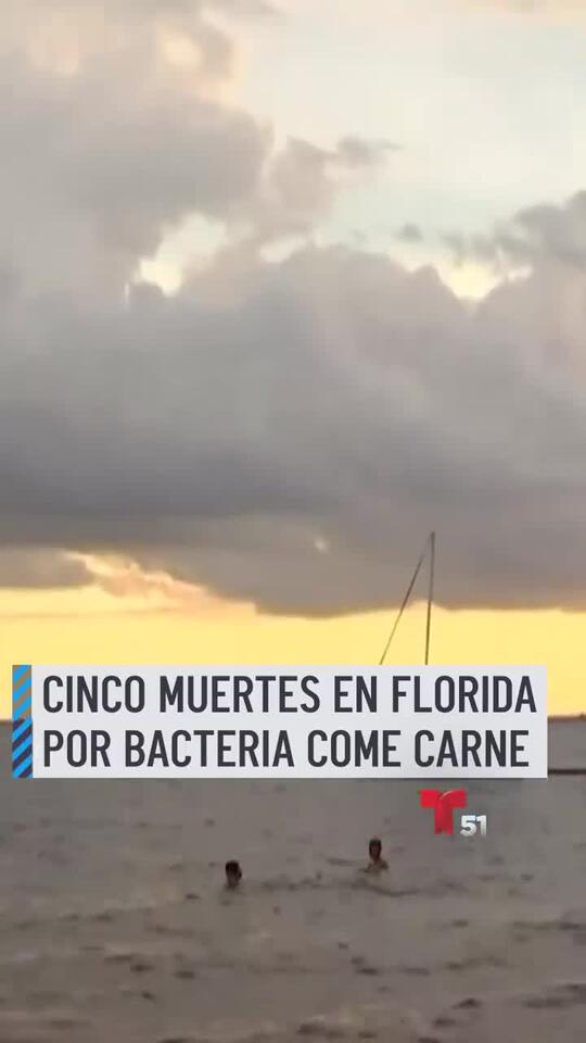 Cinco personas han muerto en Florida a causa de la llamada bacteria ...