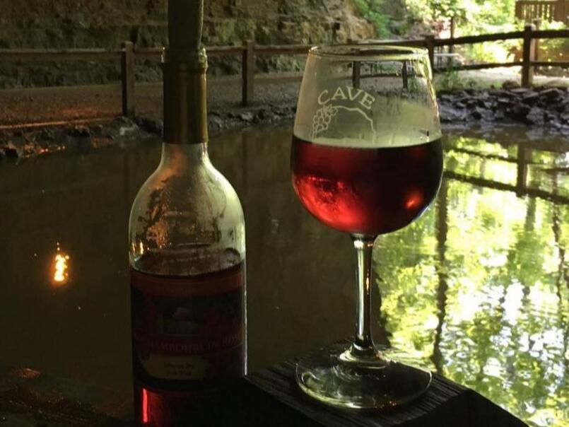 Cave Vineyard and Saltpeter Cave: where to go in Ste. Genevieve to have ...