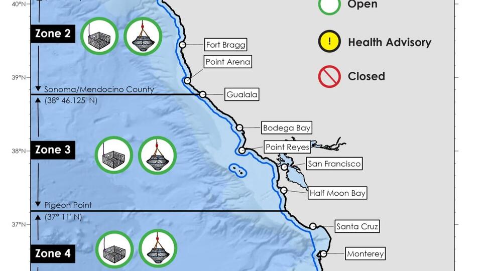 Crab Pots Drop Coastwide as California Finally Reopens Dungeness Season ...