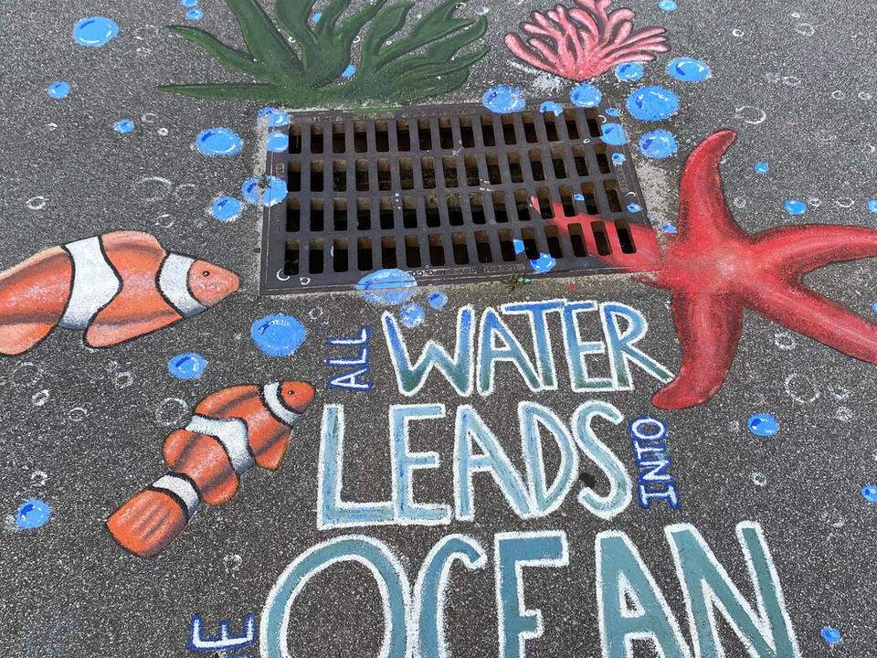 Students combine art and environmental awareness with storm drain murals