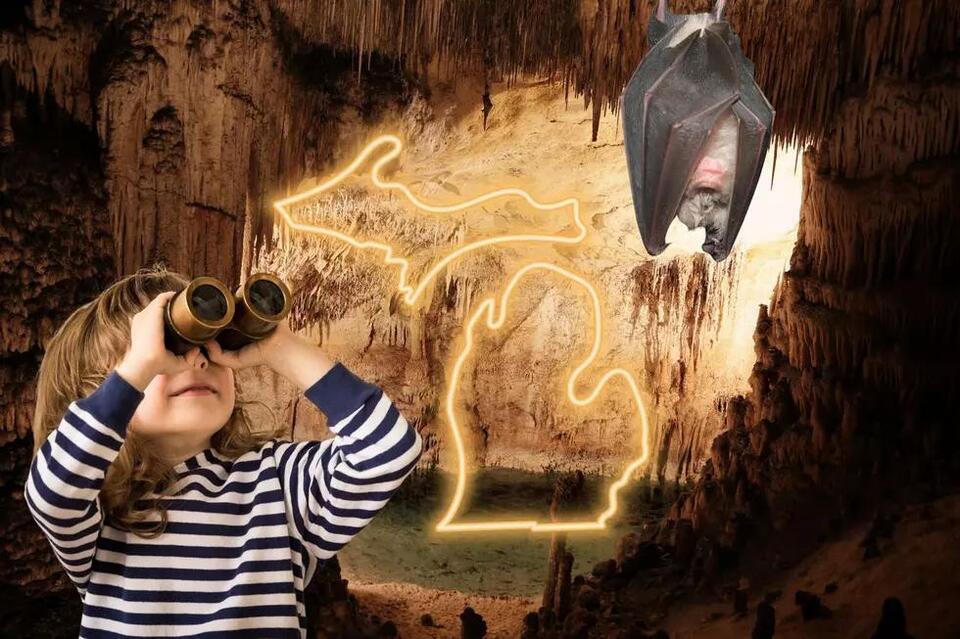 Michigan is Home to One of North America’s Largest Bat Colonies - NewsBreak