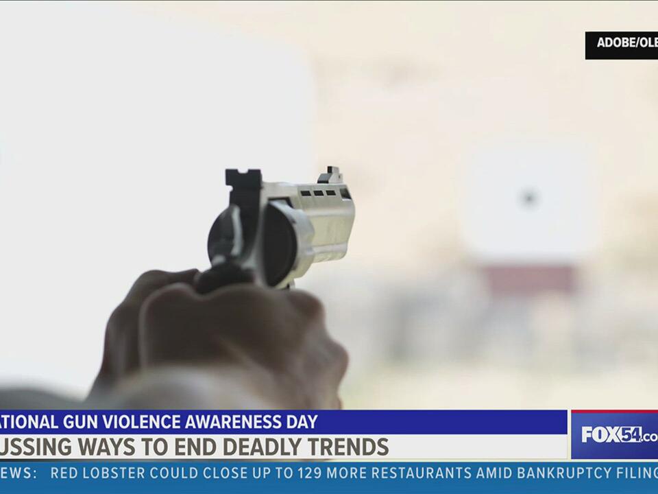Discussing tactics for reducing gun violence on National Gun Violence ...