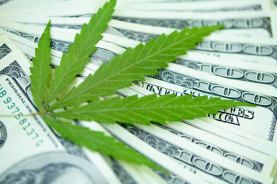 Washington Bill Would Replace 37% Marijuana Excise Tax With Weight- and ...