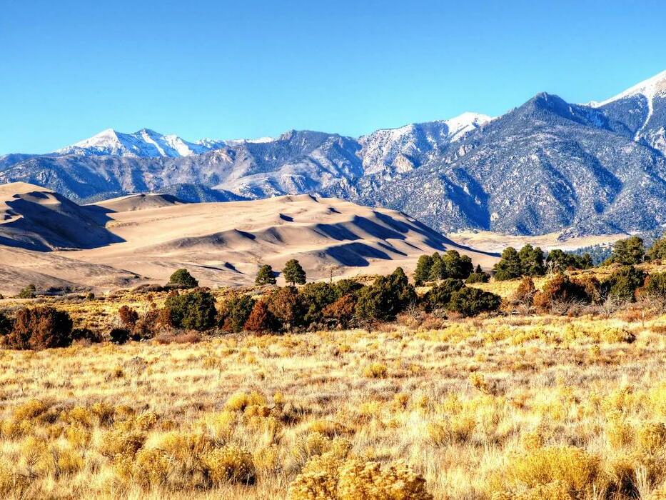 Climate change leads to unexpected greening in drylands