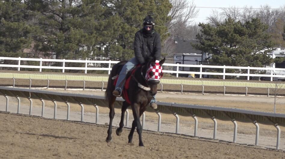Horse racing returns to Fonner Park as 2026 season opens with facility ...