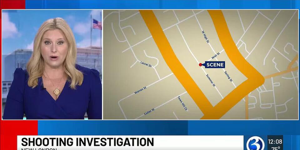 Norwich woman shot ex-wife over dog, custody dispute, police say ...