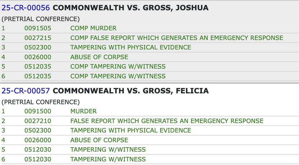 Live Updates: Felicia and Joshua Gross trial in Jayden Spicer Murder ...