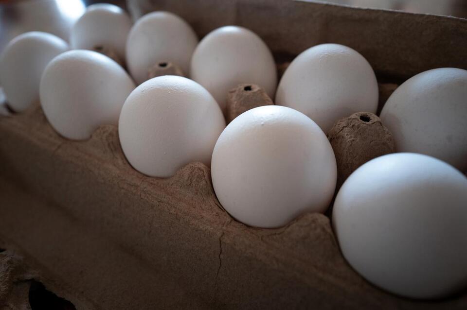TikTok’s Viral Frozen Egg Trend Just Drew Serious Warnings From the FDA ...