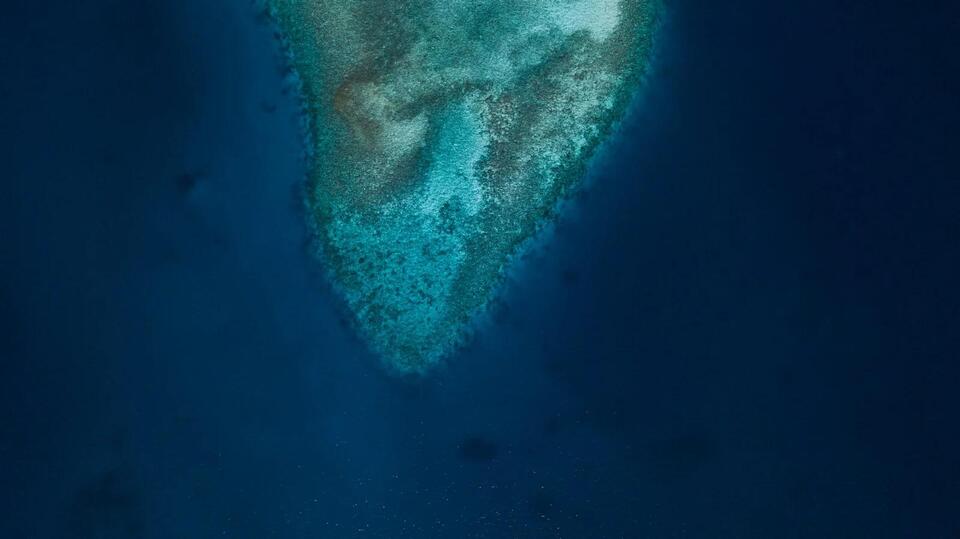 The Mariana Trench: Earth’s Deepest Point Holds Unseen Wonders - NewsBreak