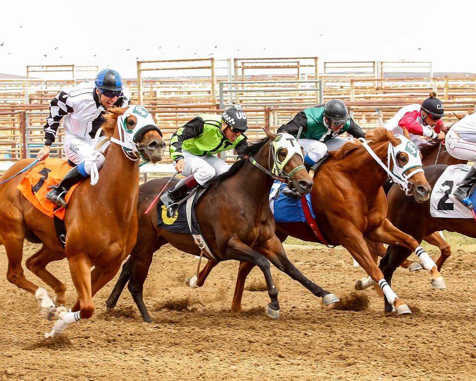 Wyoming Downs owner gives presentation on proposed rodeo and racing ...