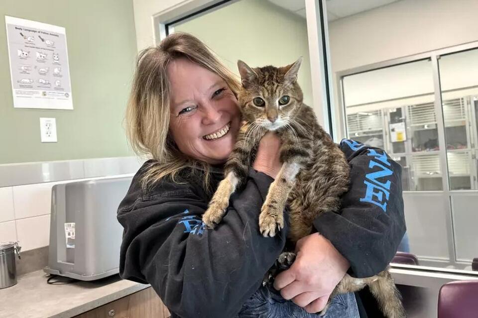 12-Year Separation Ends as Colorado Cat Is Reunited with Original Owner ...