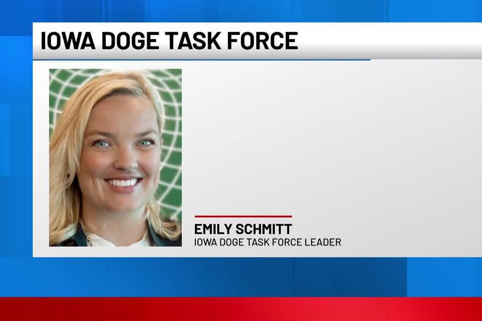 Iowa 'DOGE' leader shares excitement about new effort - NewsBreak