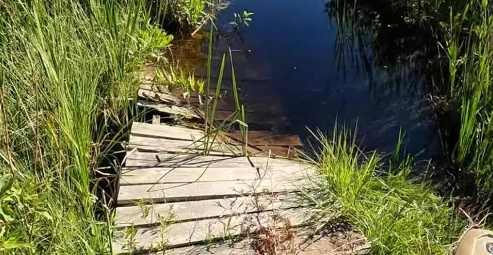 A Trip Thru the Dead Stream Swamp: Missaukee County, Michigan