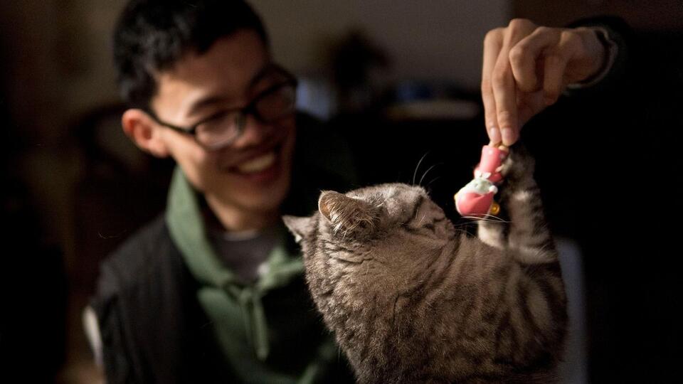 8 Small Gestures That Will Instantly Boost Your Cat’s Trust in You ...
