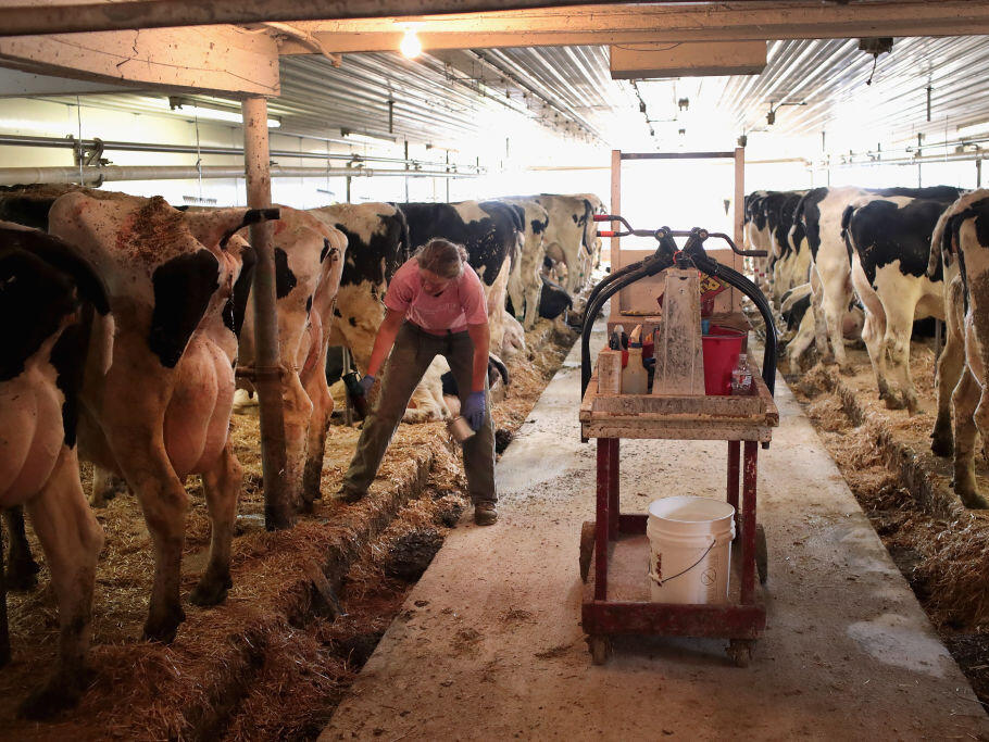 CDC confirms second bird flu infection of dairy worker