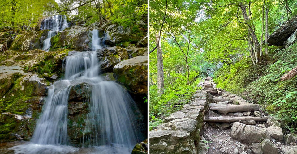 The Dreamy Virginia Forest Trail That Feels Like Walking Into A Movie ...
