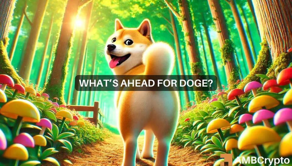 Charting Dogecoin’s road ahead as DOGE rises 6% in 7 days - NewsBreak
