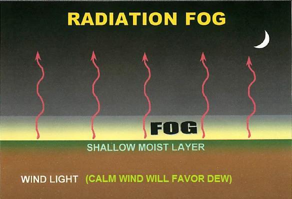 Why has it been so foggy in Minnesota this September? - NewsBreak