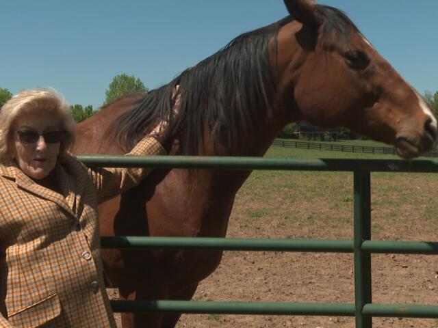 Preston Greens residents visit Old Friends Farm