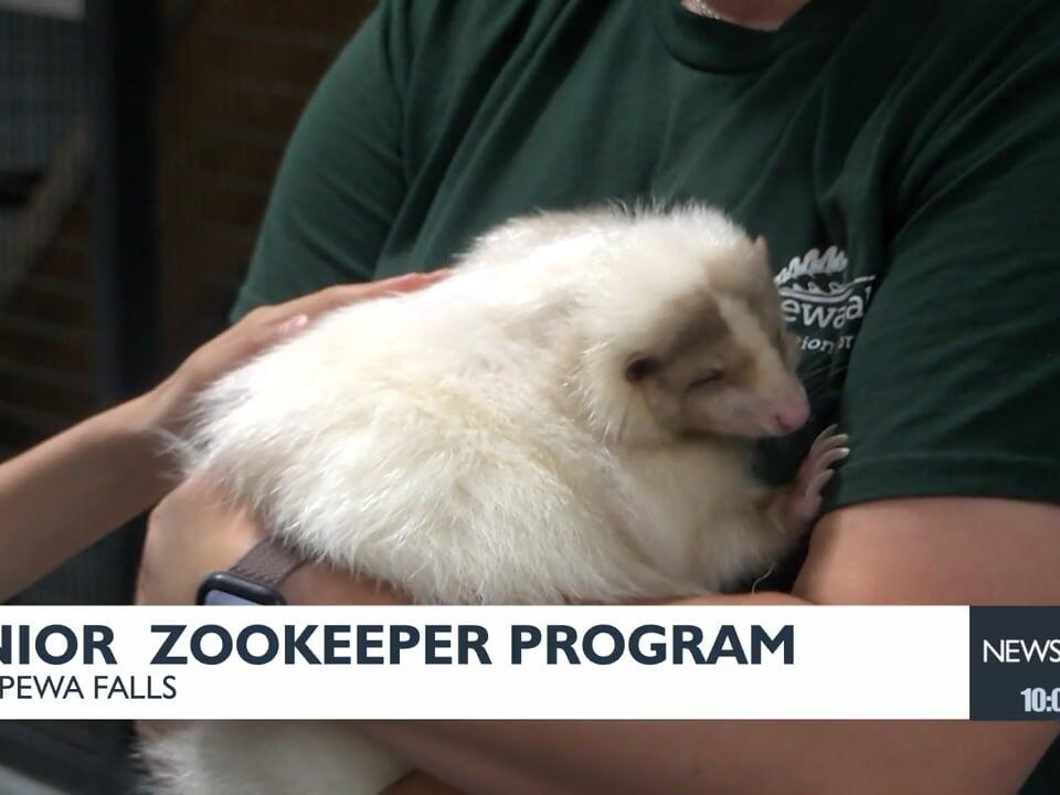 Junior Zookeeper program gives kids a closer look at animals