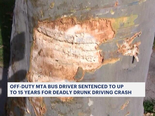 Off-duty MTA bus driver sentenced to up to 15 years in prison for ...