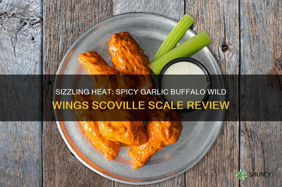 Sizzling Heat: Spicy Garlic Buffalo Wild Wings Scoville Scale Review ...