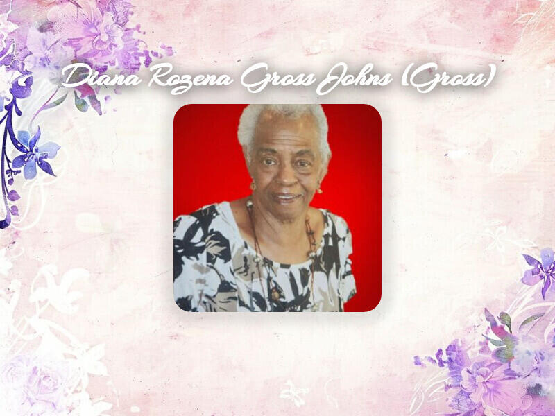 OBITUARY: Diana Rozena Gross Johns - NewsBreak