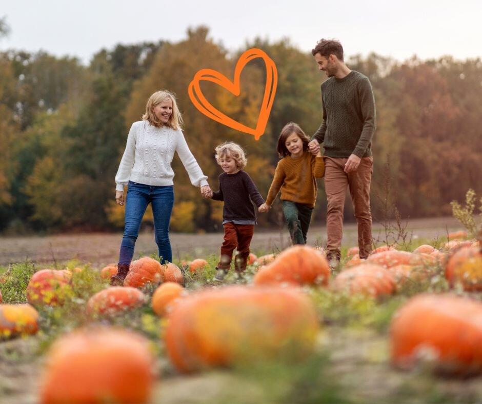 Don’t Miss Fall Fun at These Must-Visit New Jersey Pumpkin Farms ...