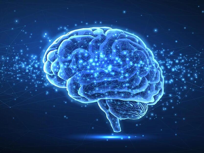 Enhancing Brain Health and Recognizing When to Consult a Neurologist ...