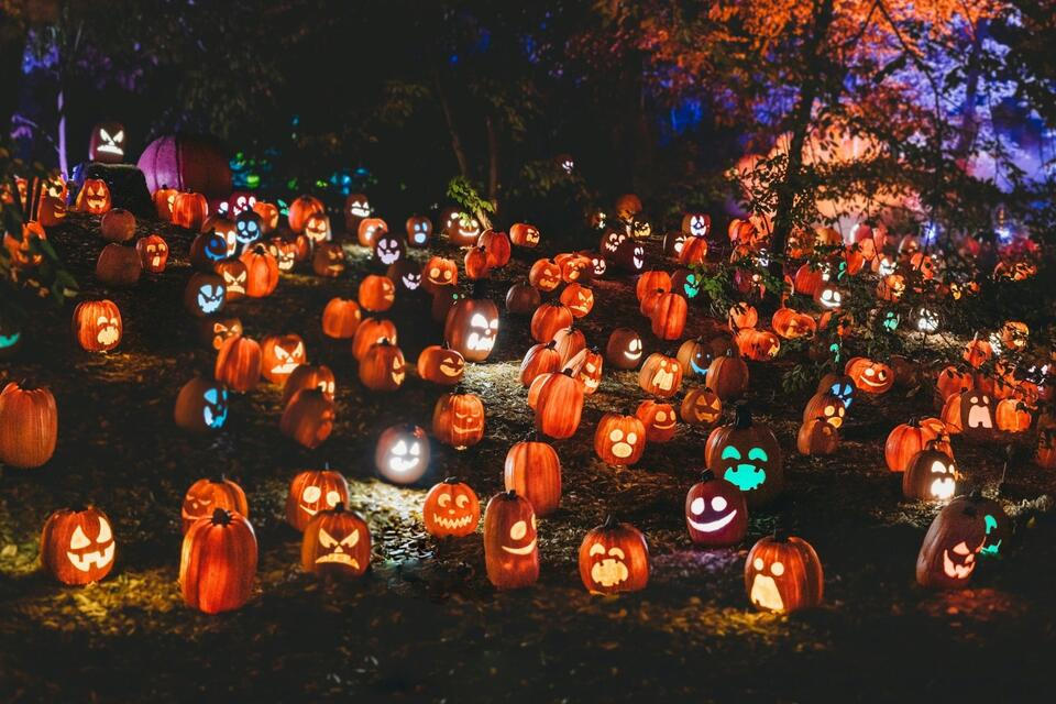 Halloween Night Fun for Kids Around Grand Junction - NewsBreak