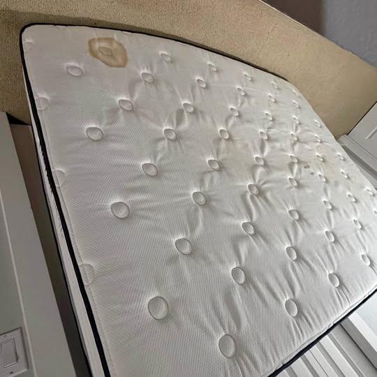 🎁 Freebies Up for Grabs in Richland — Mattresses, Oils & More - NewsBreak