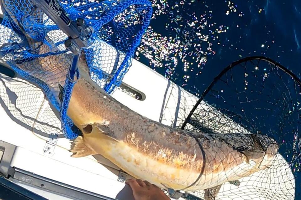 After shocking find on Lake Michigan, boat captain recalls his 'most ...