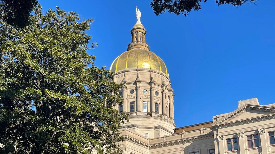 State Sen. Brian Strickland files to run for Ga. attorney general ...