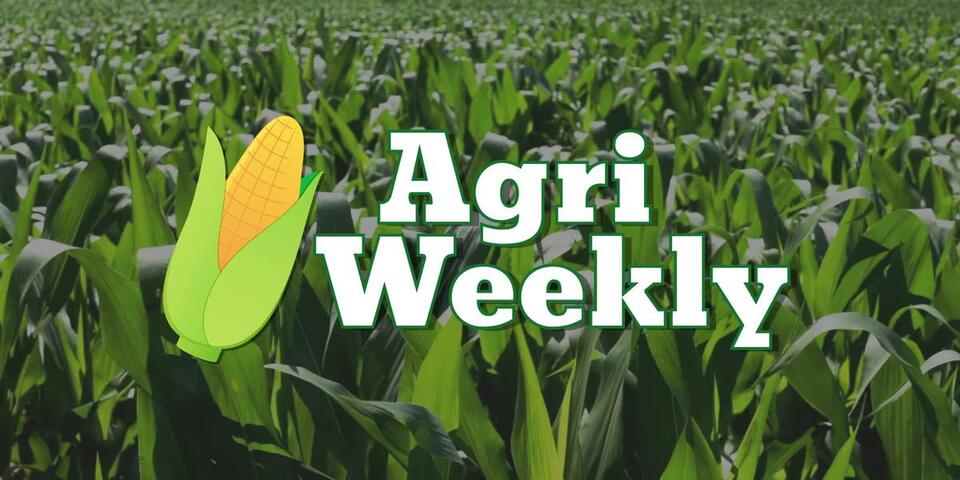 K8 Now: ‘Agri Weekly’ with Meteorologist Jace Passmore at 11:30 a.m ...