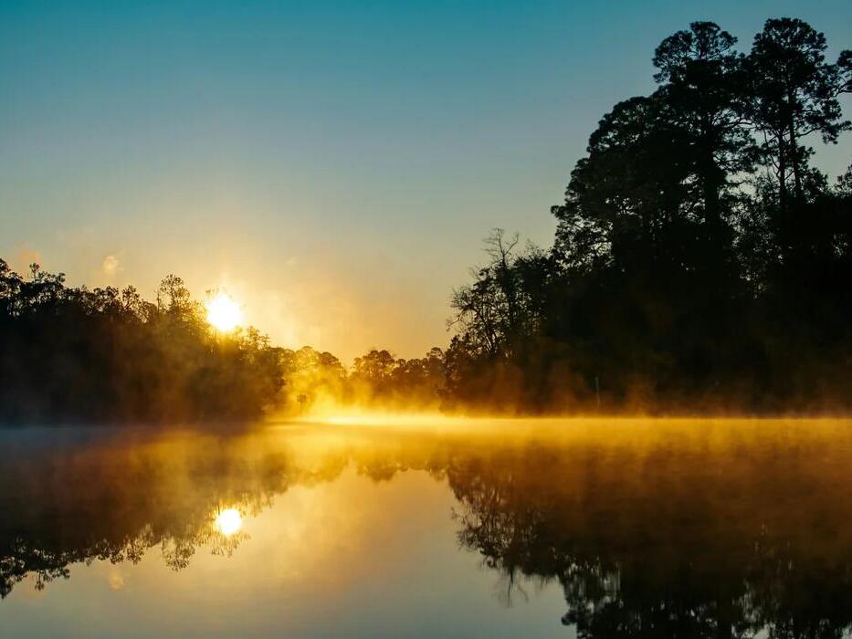 Adirondack communities grapple with concerns that herbicide ProcellaCOR ...