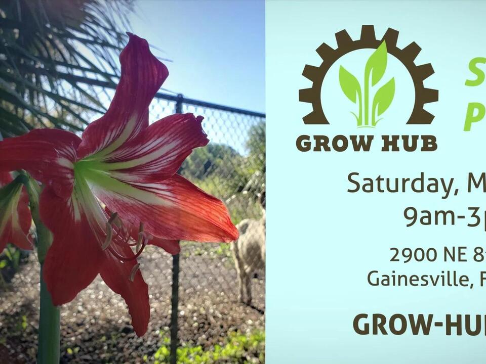 Grow Hub welcomes spring with fresh plants for sale
