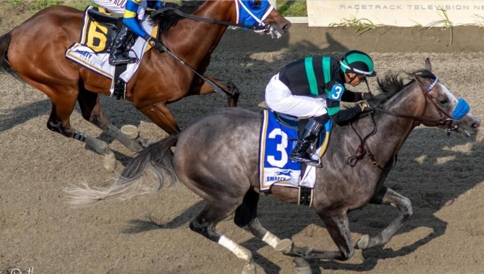 Owners, Trainers Accuse Parx Racing of Not Properly Maintaining Its ...