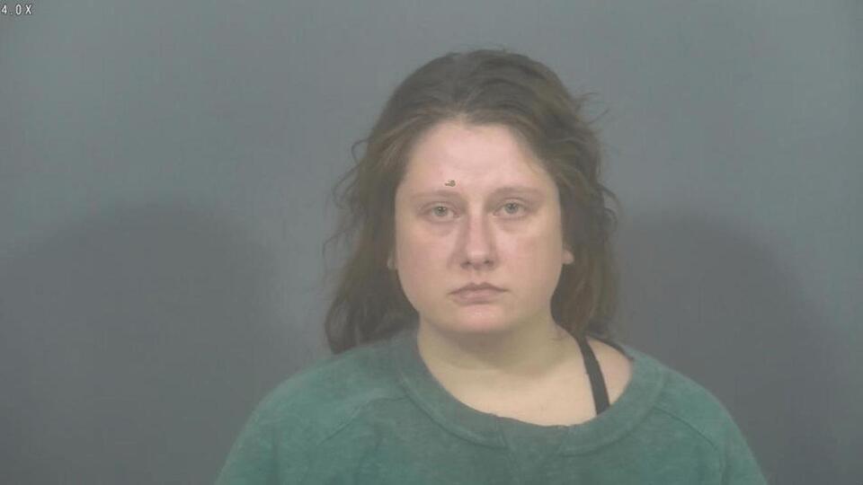 Woman arrested and charged in fake police doorstep encounter, slashing ...
