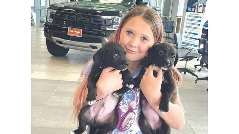 Pettus Ford helps De Soto with pet adoptions during Waggin' Wednesdays ...