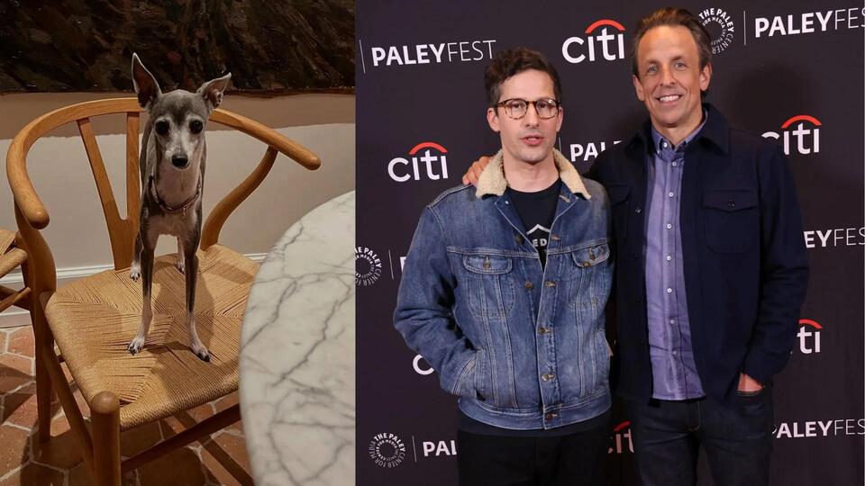 Why did Andy Samberg hate Frisbee? Actor's statement revisited as Seth ...