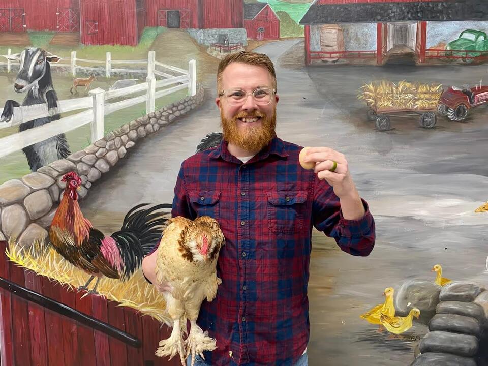 Westchester's 'Hen With Flair' Cluxatawney Henrietta Lays Egg, Predicts ...