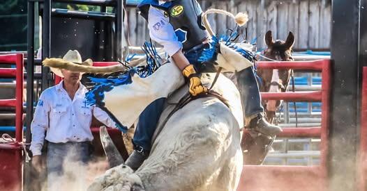Alden Rodeo and Bull Riding-Saturday- August 30, 2025- Alden, NY - NewsBreak