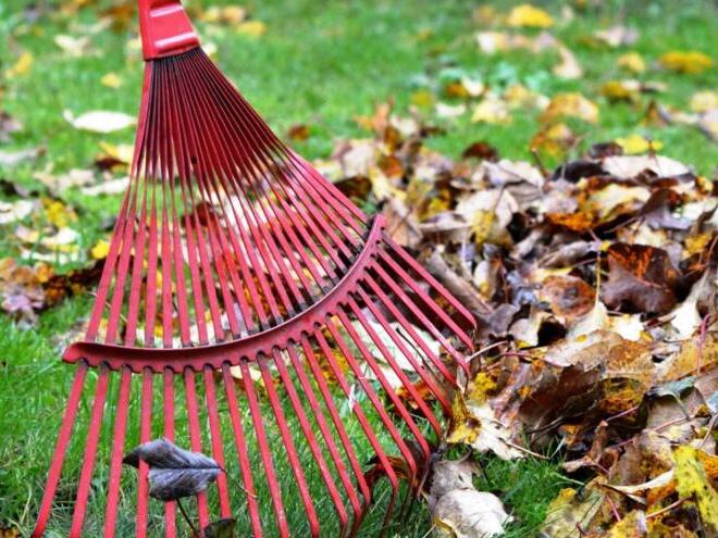 Spring brush pick-up to begin in Goshen