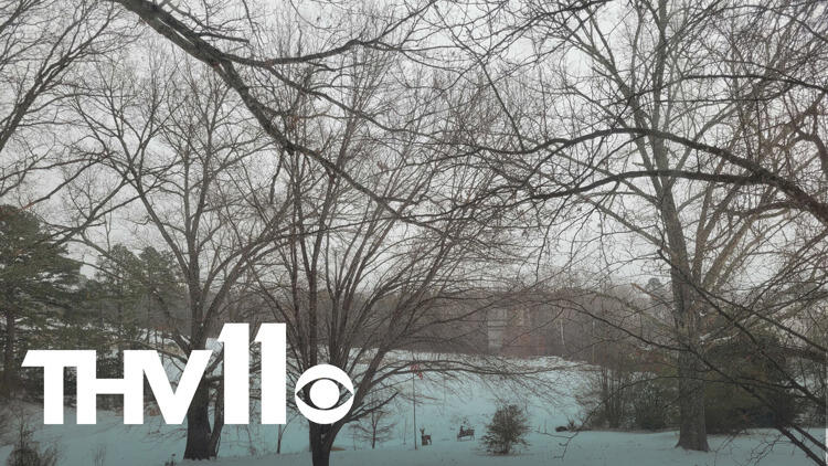 A look at snow across Arkansas - NewsBreak