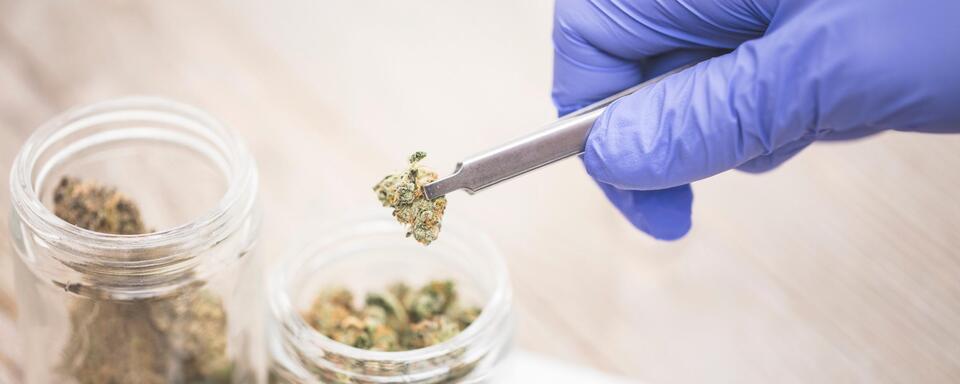 California: Lawsuit Dropped Against 13 Marijuana Testing Labs - NewsBreak