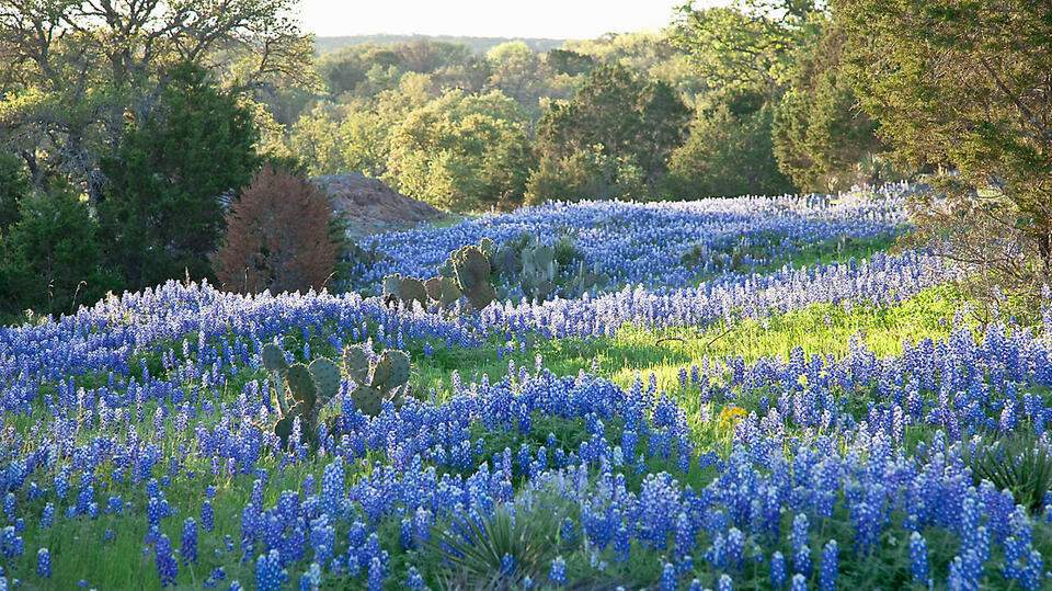 Over 1,700-acre state park is coming to Uvalde County - NewsBreak